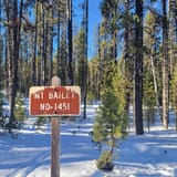 Mount Bailey Trail, Oregon - 297 Reviews, Map | AllTrails