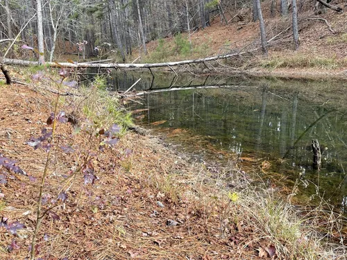 Best Hikes and Trails in Minooka Park | AllTrails