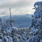 Cherry Mountain Trail, New Hampshire - 330 Reviews, Map | AllTrails