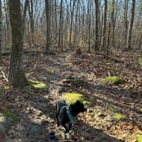 Spring Hill Yellow and Blue Loop Trail, Massachusetts - 236 Reviews ...