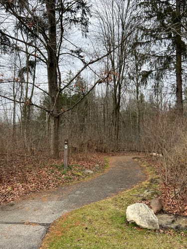 Best Hikes and Trails in Bessie Benner Metzenbaum Park | AllTrails