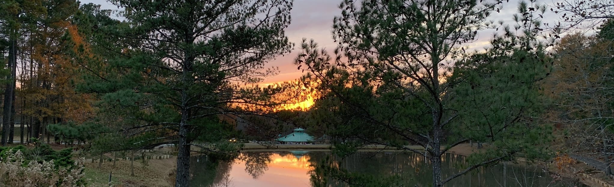 Bethesda Park Trail | Map, Guide - Georgia | AllTrails