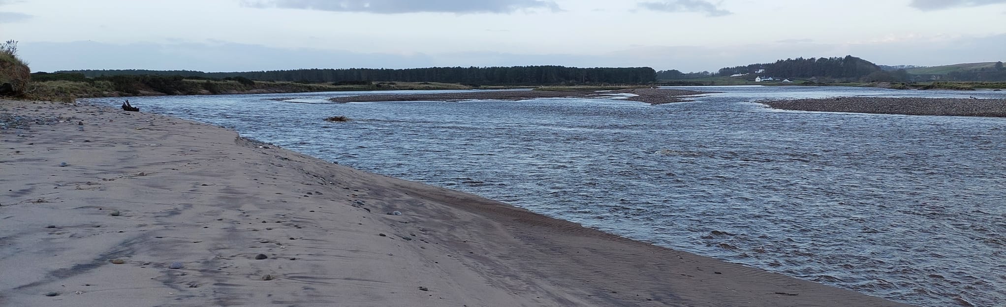 Montrose Beach to St Cyrus Beach: 99 foto's - Angus, Schotland | AllTrails