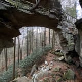 Split Bow Arch Loop, Kentucky - 175 Reviews, Map | AllTrails