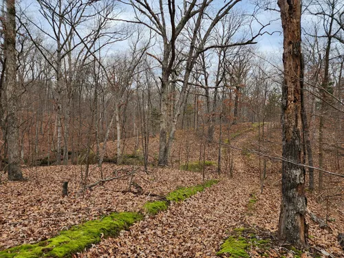 Best Hikes and Trails in Devil's Prop Nature Preserve | AllTrails