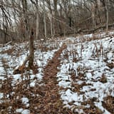 Arcola Bluffs Trail, Minnesota - 192 Reviews, Map | AllTrails
