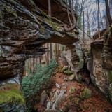 Split Bow Arch Loop, Kentucky - 175 Reviews, Map | AllTrails