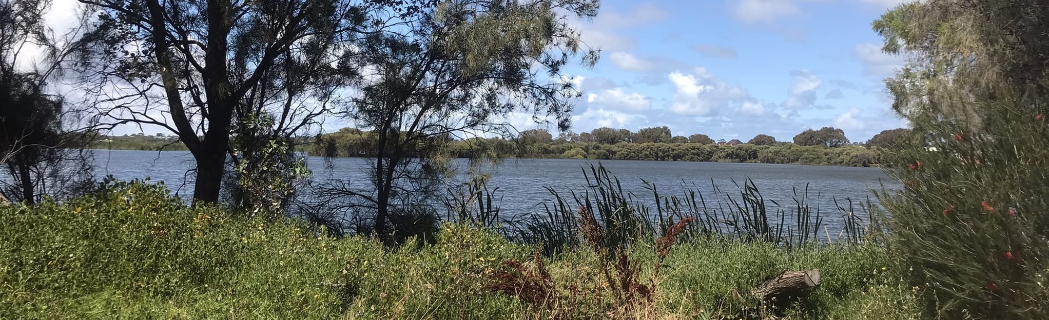 Herdsman Lake, Western Australia, Australia - 342 Reviews, Map | AllTrails