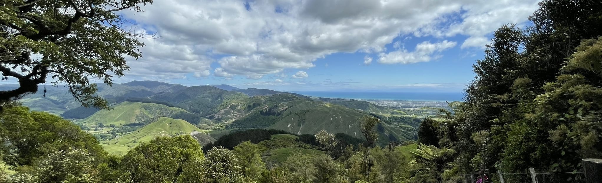 Parata Track - Wellington, New Zealand | AllTrails