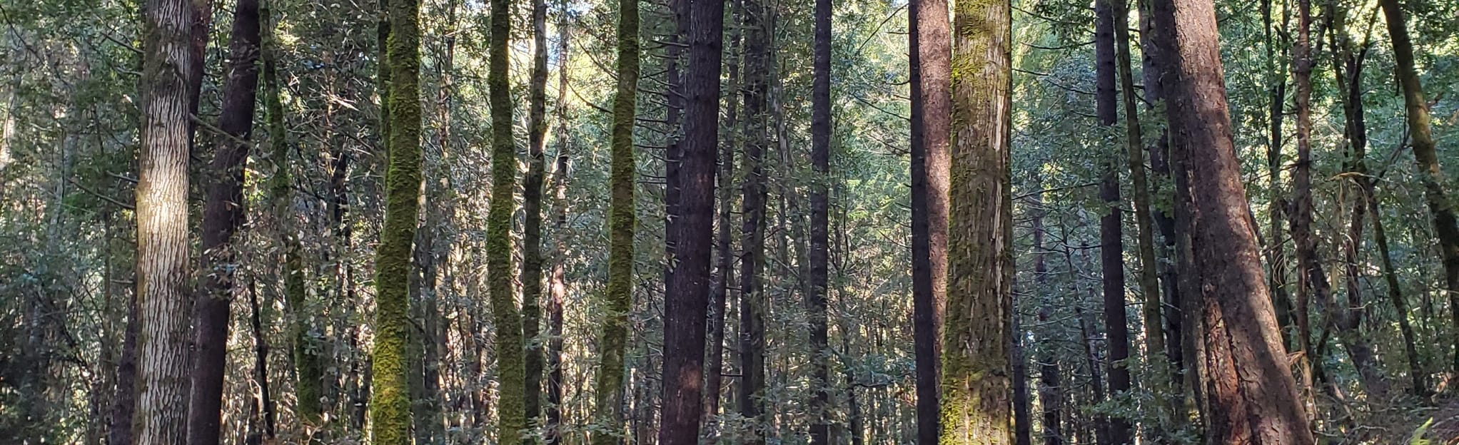 Taber Nature Trail, California - 39 Reviews, Map | AllTrails