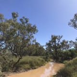 Combo Waterhole Conservation Park Trail: 5 foto's - Queensland ...