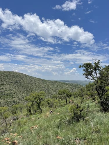 Best 10 Hikes and Trails in Magaliesberg Biosphere Reserve | AllTrails
