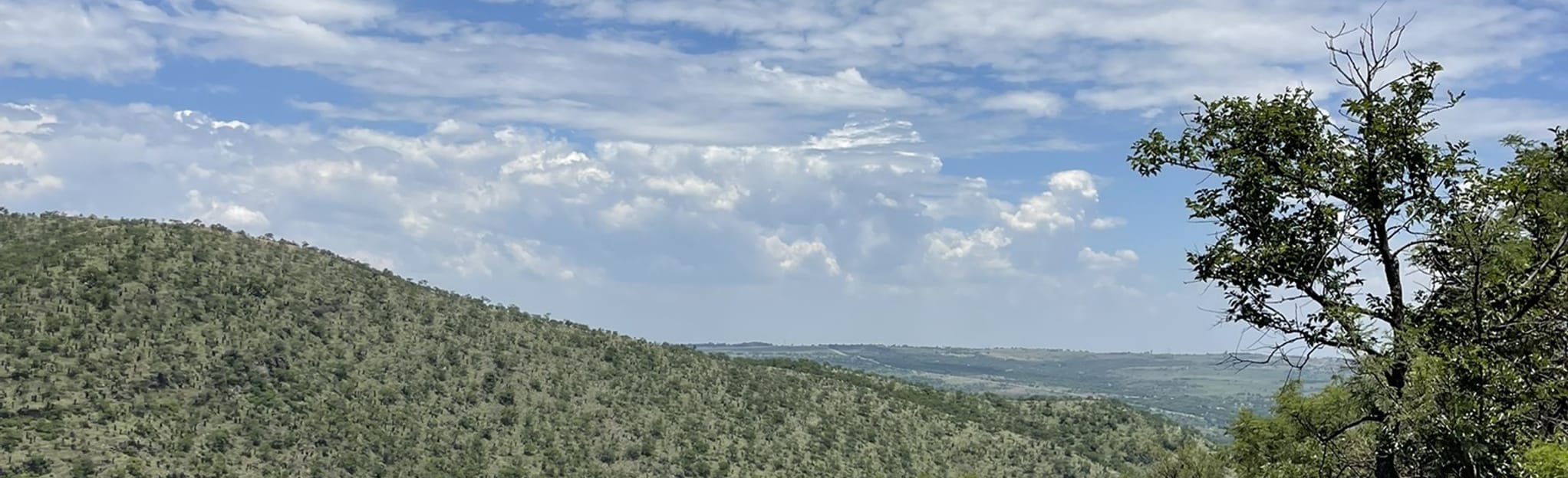 Krokodil Berg Route: 41 Reviews, Map - Gauteng, South Africa | AllTrails