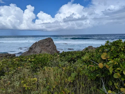 10 Best Trails and Hikes in Barbados | AllTrails