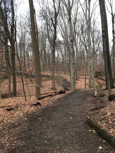 Best Hikes and Trails in River Styx Valley North Park | AllTrails