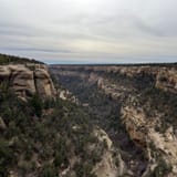 Cliff Palace Loop Trail, Colorado - 305 Reviews, Map | AllTrails