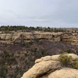 Cliff Palace Loop Trail, Colorado - 305 Reviews, Map | AllTrails