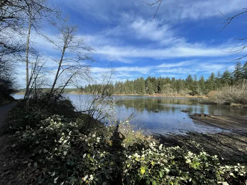 10 Best Trails and Hikes in Camas | AllTrails