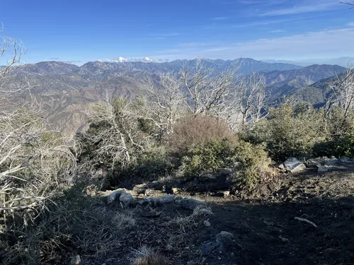 10 Best Trails and Hikes in Mount Wilson | AllTrails