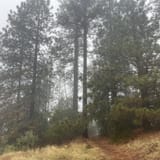 Frog Lake Loop Trail, California - 592 Reviews, Map | AllTrails