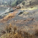 Frog Lake Loop Trail, California - 592 Reviews, Map | AllTrails