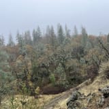 Frog Lake Loop Trail, California - 592 Reviews, Map | AllTrails