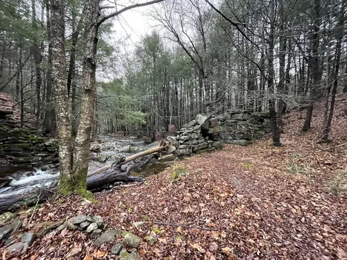 Best Hikes and Trails in Wendell State Forest | AllTrails