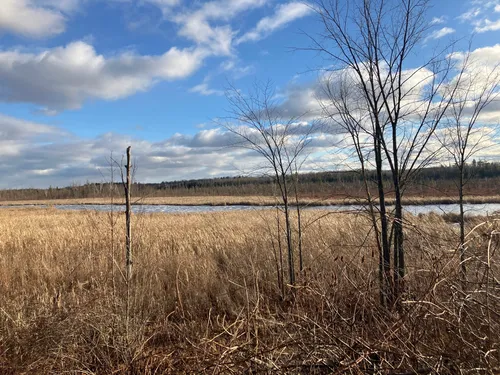 Best Hikes and Trails in Mer Bleue Conservation Area | AllTrails