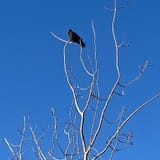 Seattle Waterfront Pathway, Washington - 621 Reviews, Map | AllTrails