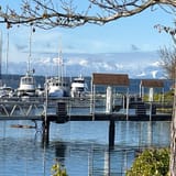 Seattle Waterfront Pathway, Washington - 620 Reviews, Map | AllTrails