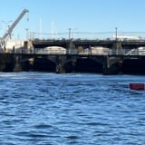 Seattle Waterfront Pathway, Washington - 719 Reviews, Map | AllTrails