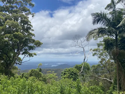 10 Best Walking Trails in Mount Glorious | AllTrails