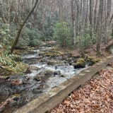Noland Creek Trail, North Carolina - 199 Reviews, Map | AllTrails
