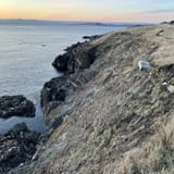 Iceberg Point Trail, Washington - 352 Reviews, Map | AllTrails