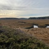 Spirit Pond Preserve, Maine - 130 Reviews, Map | AllTrails