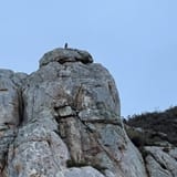 Crespi Trail, California - 224 Reviews, Map | AllTrails