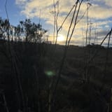 Crespi Trail, California - 224 Reviews, Map | AllTrails