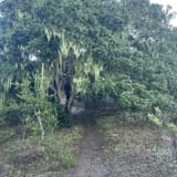 Crespi Trail, California - 224 Reviews, Map | AllTrails