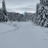 Hyak Creek to Nordic Pass Trail, Washington - 82 Reviews, Map | AllTrails