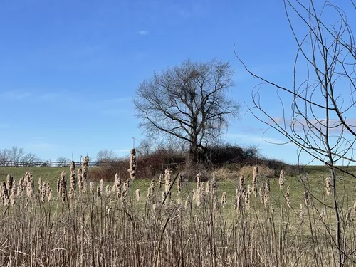 Best Hikes and Trails in Castle Neck River Reservation | AllTrails