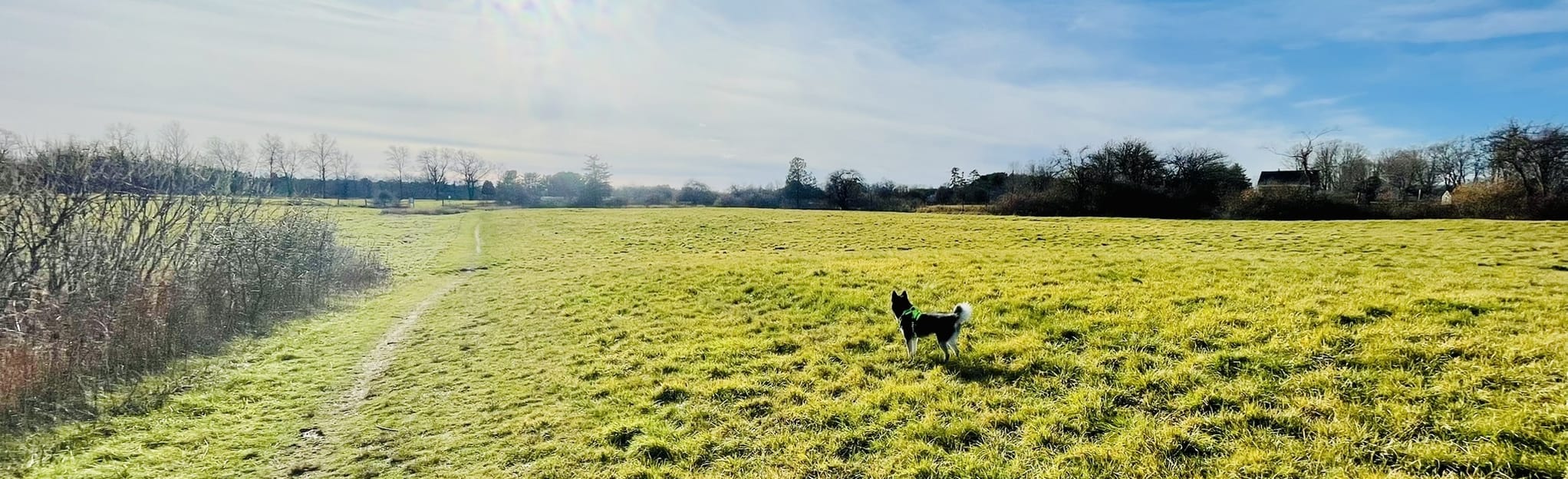 Castle Neck River Reservation Trail: 38 Reviews, Map - Massachusetts ...