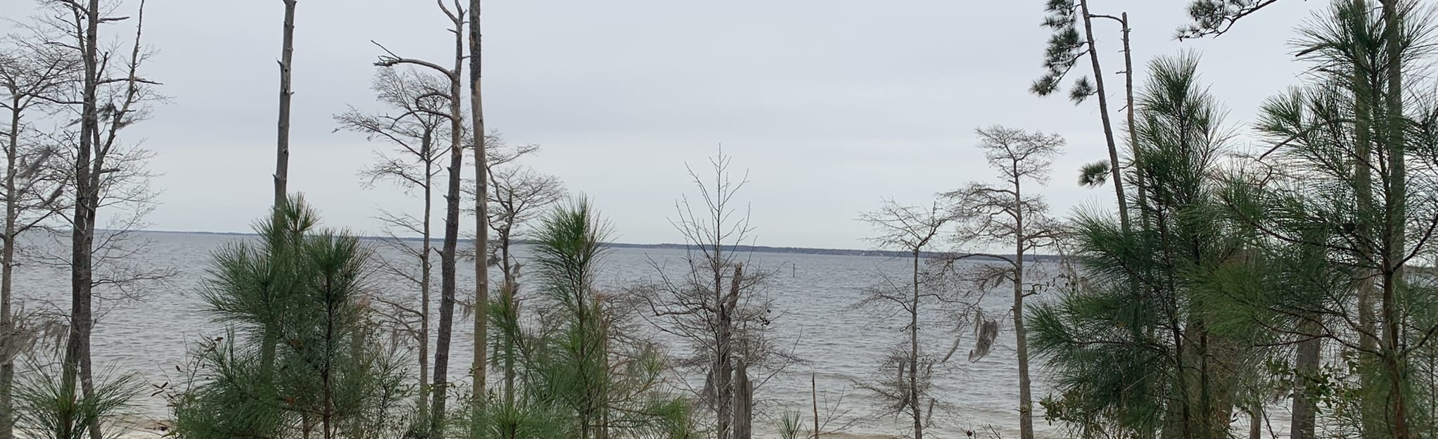 Neusiok Trail: Beach Section, North Carolina - 84 Reviews, Map | AllTrails