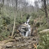 South Toe River Loop Trail, North Carolina - 357 Reviews, Map | AllTrails