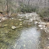 South Toe River Loop Trail, North Carolina - 357 Reviews, Map | AllTrails