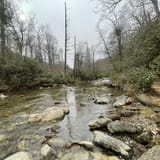 South Toe River Loop Trail, North Carolina - 357 Reviews, Map | AllTrails
