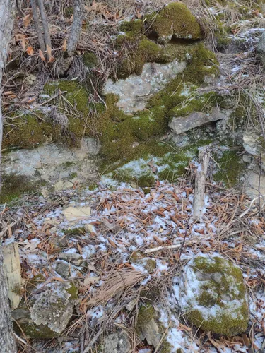 Best Hikes and Trails in Fort Meade Recreation Area | AllTrails