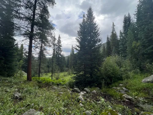 Best Backpacking Trails in Meredith | AllTrails