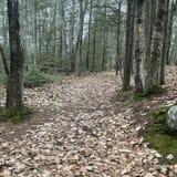 Monson Community Loop, New Hampshire - 268 Reviews, Map | AllTrails