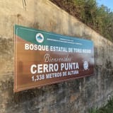 Cerro de Punta, Central Region, Puerto Rico - 127 Reviews, Map | AllTrails