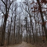 Cedar Ridge Trail Loop, North Carolina - 660 Reviews, Map | AllTrails
